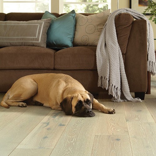 Hardwood Flooring Care & Maintenance in Marshallville, OH | Howmar Carpet